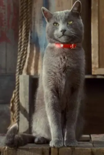 Catherine (The New Adventures of Timmy Brisby) | Disney Fanon Wiki | Fandom