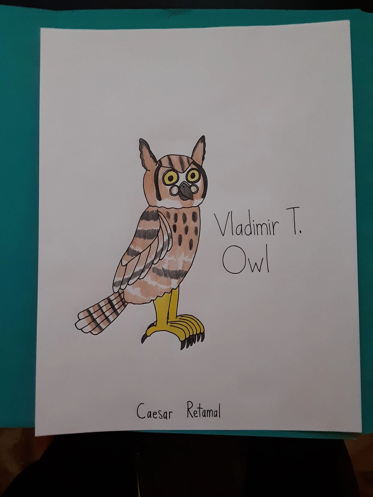 Vladimir T. Owl | Disney Fanon Wiki | Fandom