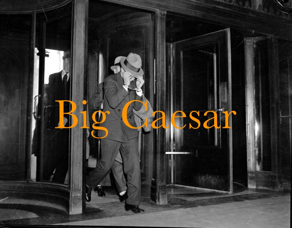 Big Caesar | Disney Fanon Wiki | Fandom