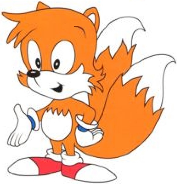 Sonic The Hedgehog Satam Video Game Disney Fanon Wiki Fandom