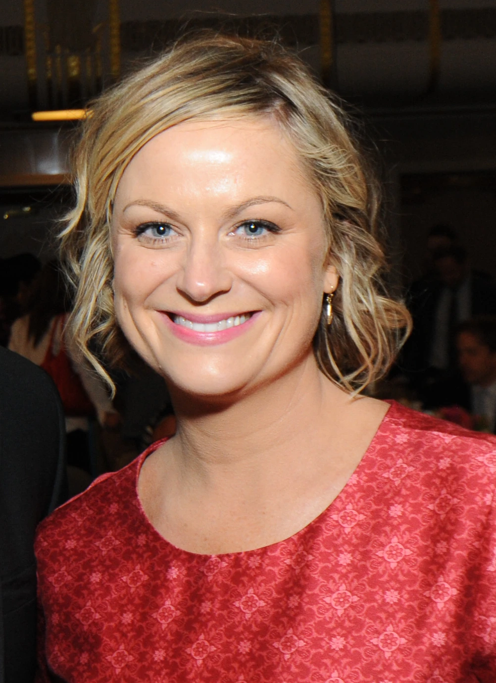 Amy Poehler | Disney Fanon Wiki | Fandom