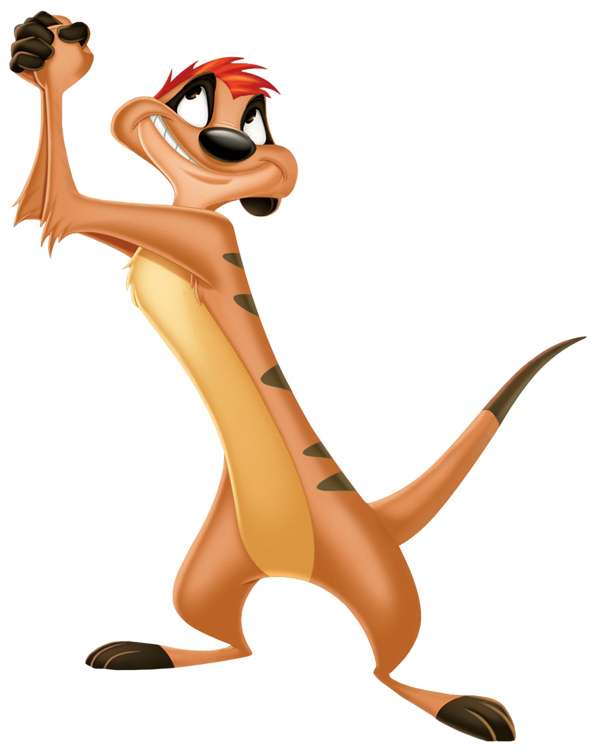 Timon | Disney Fanon Wiki | Fandom