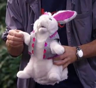 Bunny-Bot 3000 | Jessie Wiki | Fandom