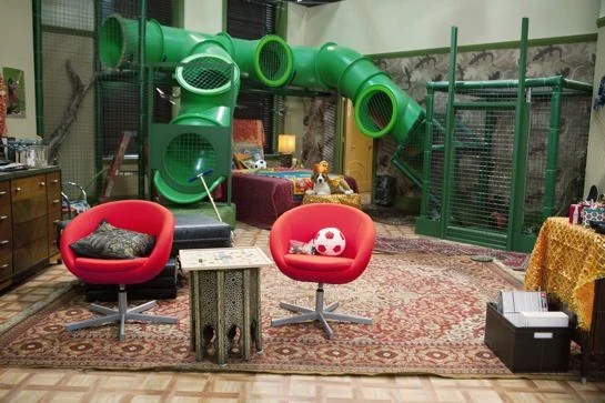 Ravi's Room | Jessie Wiki | Fandom