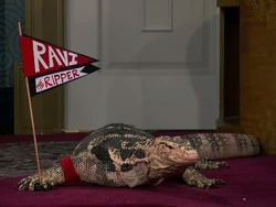 Jessie Disney Channel Mr Kipling