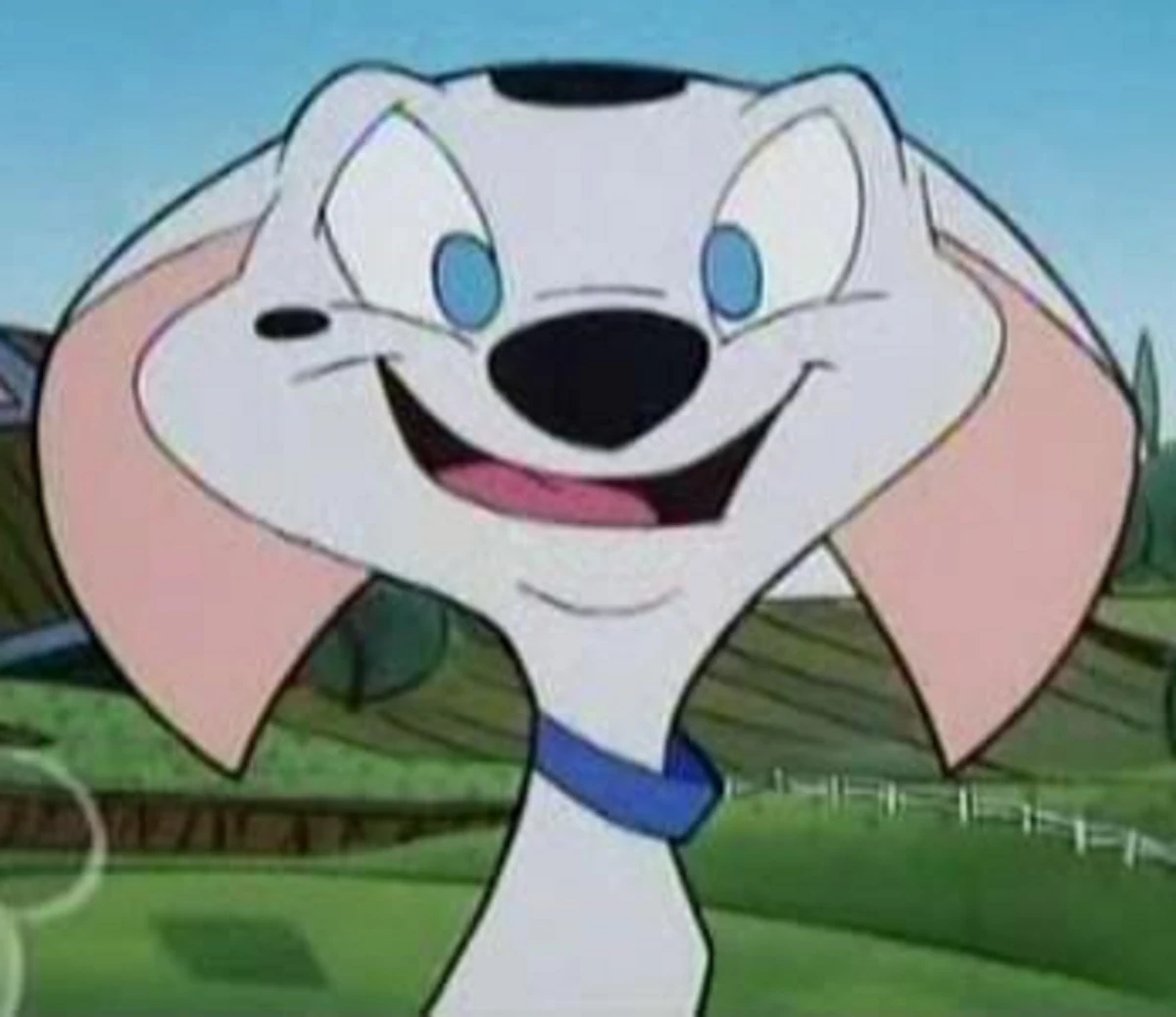 Cadpig | Disney Junior Wiki | Fandom