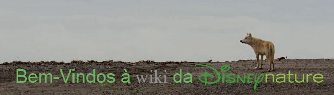 Disneynature Wiki | Fandom