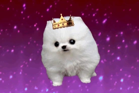 Queen Fluff | They're_All_Real Wiki | Fandom