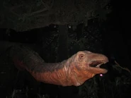 Saltasaurus | Disney Parks Wiki | Fandom