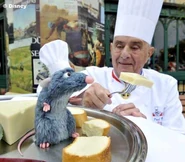 Remy | Disney Parks Wiki | Fandom