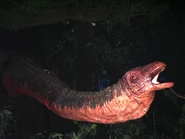 Saltasaurus | Disney Parks Wiki | Fandom