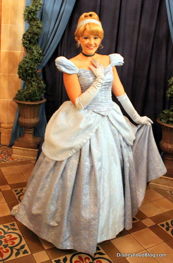 Cinderella | Disney Parks Wiki | Fandom