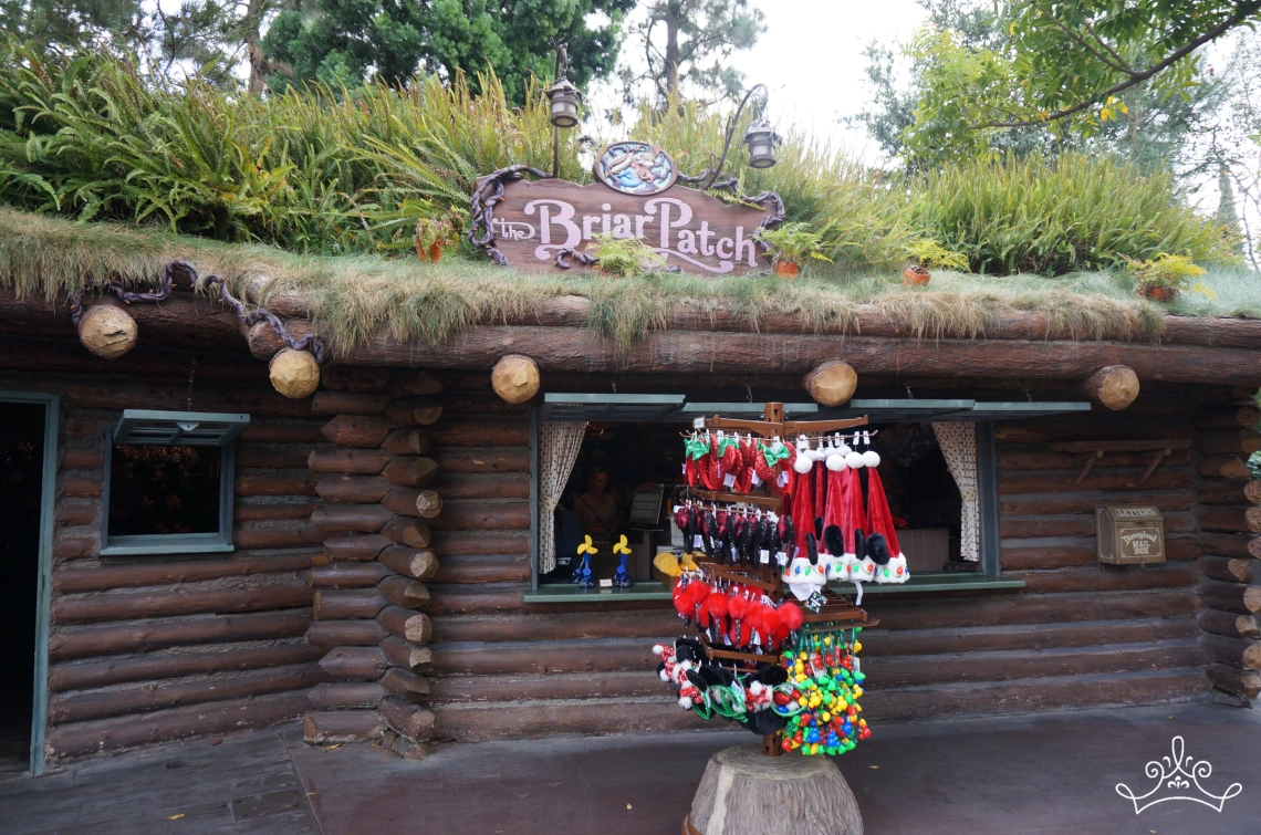 Briar Patch | Disney Parks Wiki | Fandom