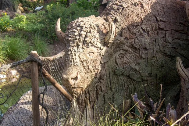 American Bison | Disney Parks Wiki | Fandom