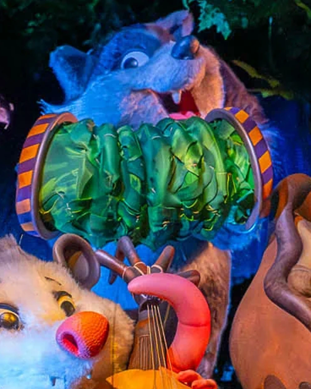 Apollo the Raccoon | Disney Parks Wiki | Fandom