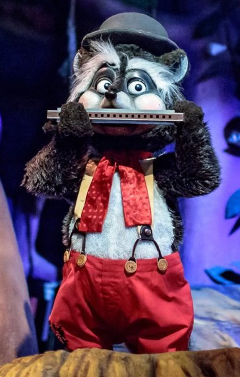Br'er Raccoon | Disney Parks Wiki | Fandom