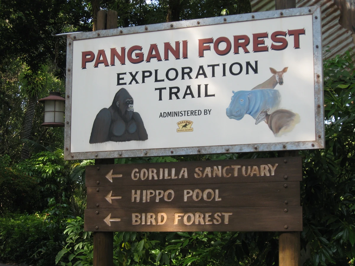 Pangani Forest Exploration Trails | Disney Parks Wiki | Fandom