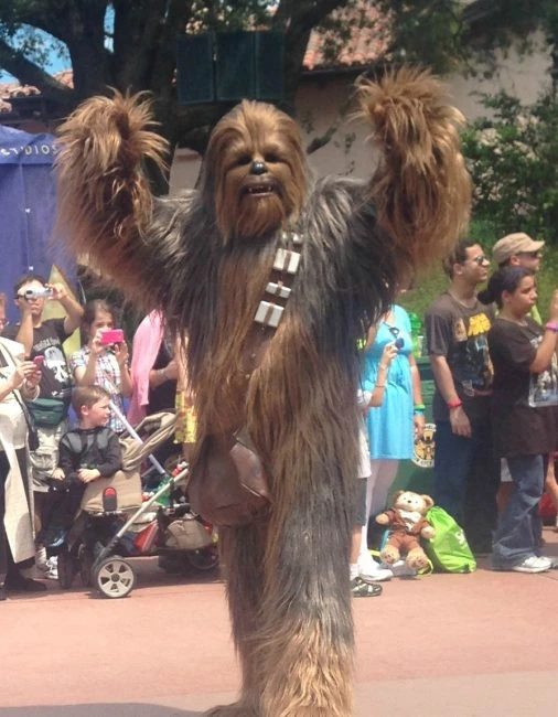 Chewbacca | Disney Parks Wiki | Fandom