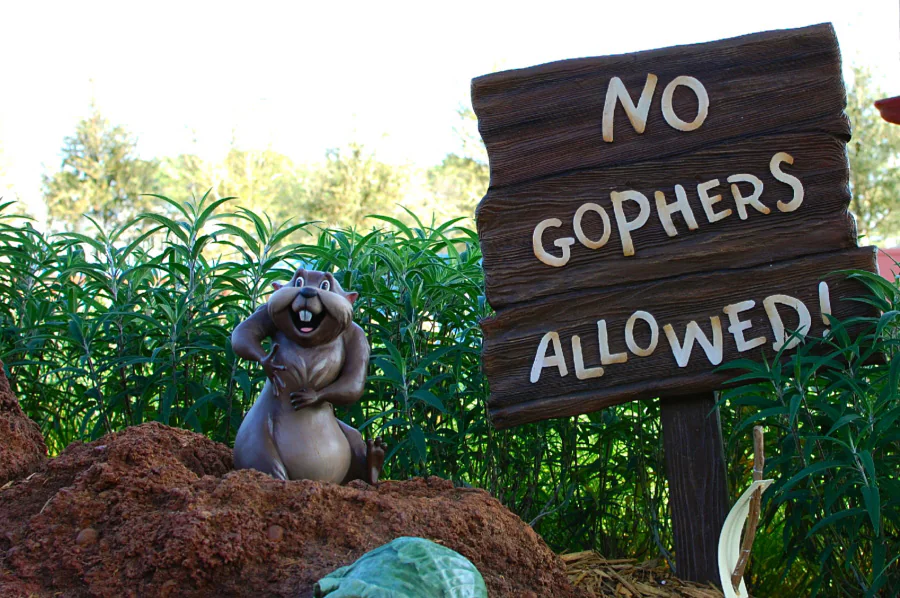 Gopher | Disney Parks Wiki | Fandom