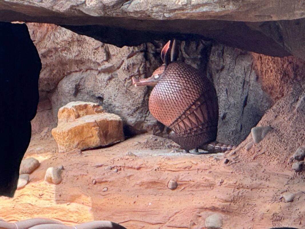 Lari the Armadillo | Disney Parks Wiki | Fandom