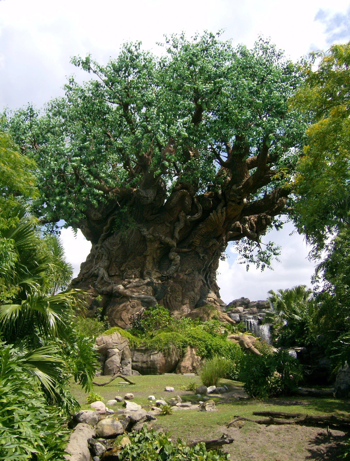 Tree of Life | Disney Parks Wiki | Fandom
