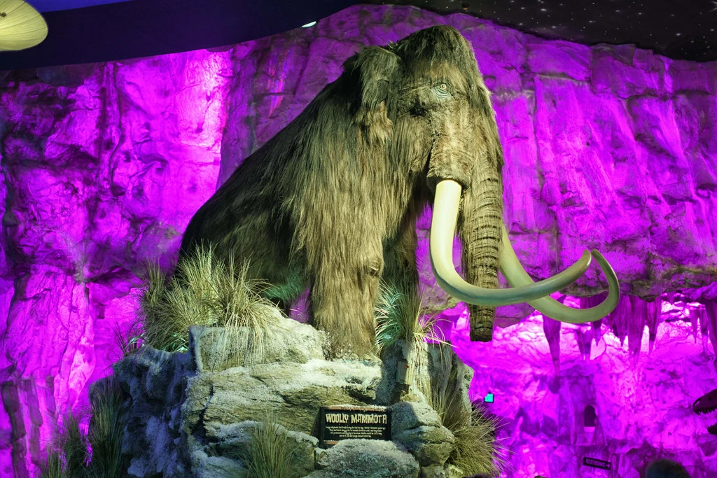 Mammoth | Disney Parks Wiki | Fandom