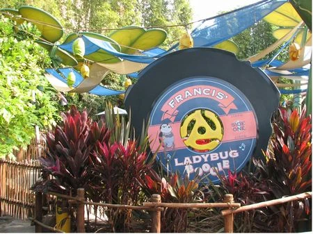 Francis' Ladybug Boogie | Disney Parks Wiki | Fandom