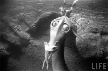 Sea Serpent | Disney Parks Wiki | Fandom