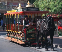 Horse-Drawn Carriages | Disney Parks Wiki | Fandom