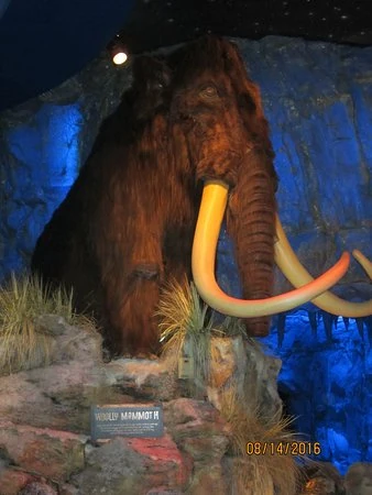 Woolly Mammoth | Disney Parks Wiki | Fandom