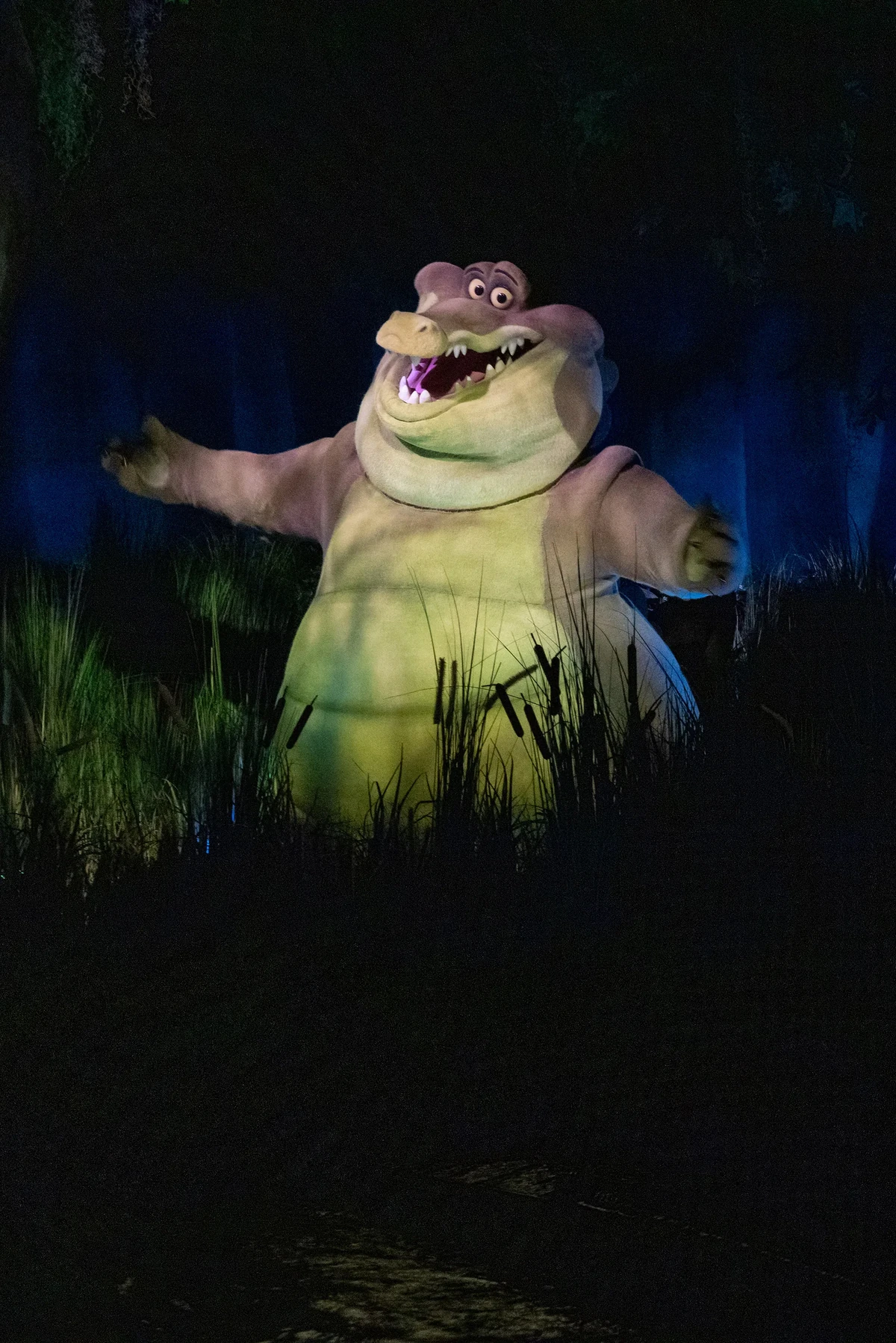 Louis | Disney Parks Wiki | Fandom