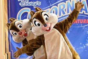 Dale | Disney Parks Characters Wiki | Fandom