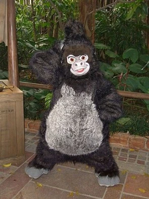 Terk | Disney Parks Characters Wiki | Fandom