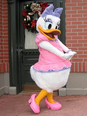 Daisy Duck | Disney Parks Characters Wiki | Fandom