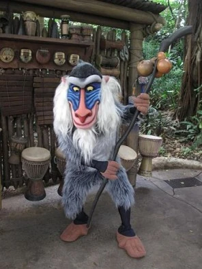 Rafiki | Disney Parks Characters Wiki | Fandom