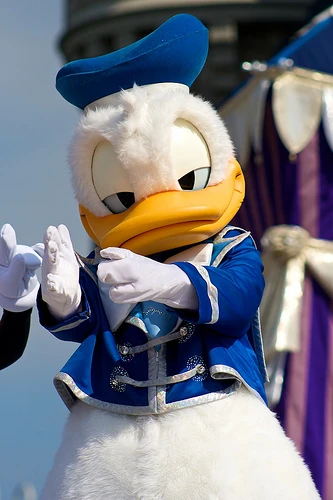 Donald Duck | Disney Parks Fanon Wiki | Fandom
