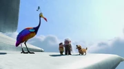 Carl Fredricksen | UP Wiki | Fandom