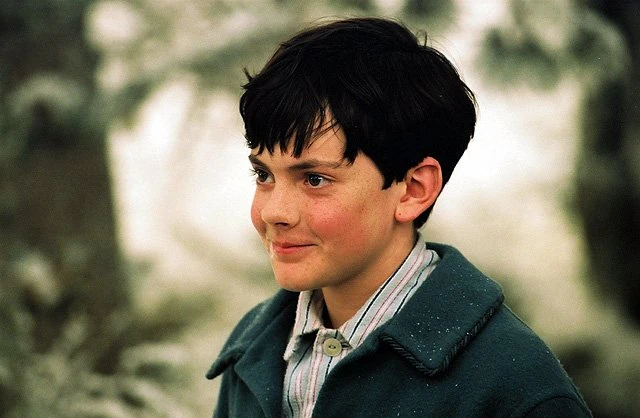 Edmund Pevensie | DisneyPlus Wiki | Fandom
