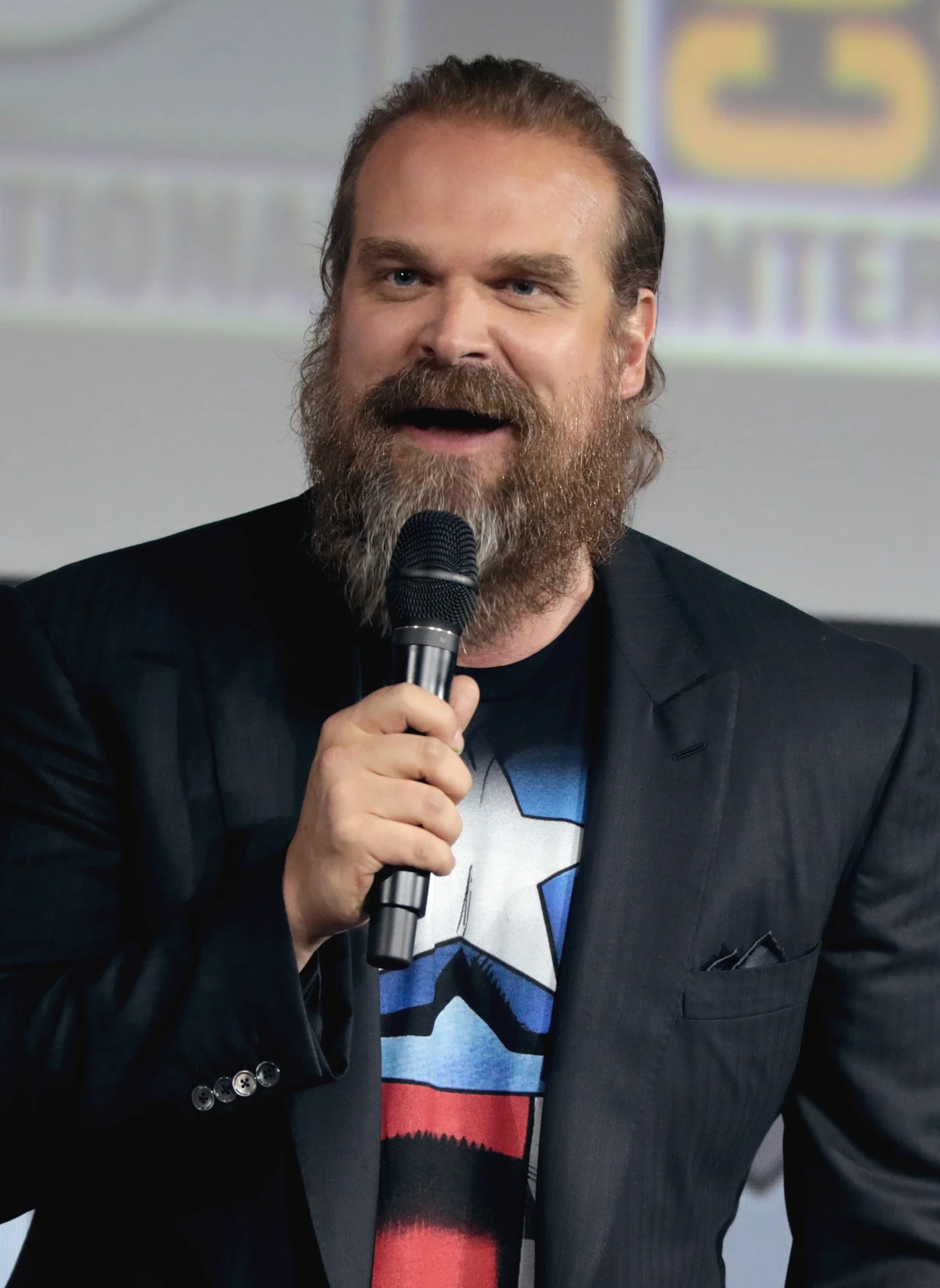David Harbour | Disney+ Wiki | Fandom