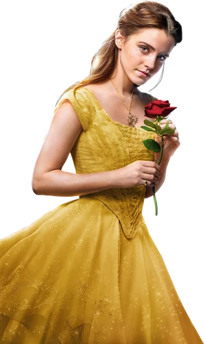 Belle (2017) | Disney Princess Wiki | Fandom