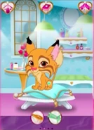 Pounce/Gallery | Palace Pets Wiki | Fandom