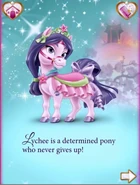 Lychee/Gallery | Palace Pets Wiki | Fandom