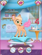 Gleam | Palace Pets Wiki | Fandom