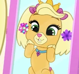 Daisy | Palace Pets Wiki | Fandom