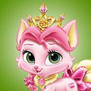 Rouge/Gallery | Palace Pets Wiki | Fandom