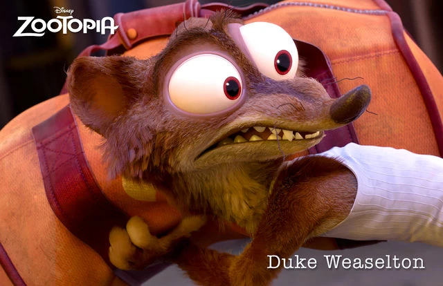 Duke Doninha | Wiki Disneypt | Fandom