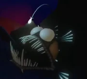 Anglerfish | Disney's Sebastian & Dory Wiki | Fandom