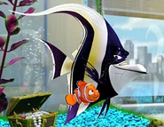 Gill | Disney's Sebastian & Dory Wiki | Fandom