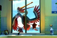 Nigel (Finding Nemo) | Disney's Sebastian & Dory Wiki | Fandom