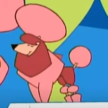 Dog (Toy Poodle) | Stanley Wiki | Fandom